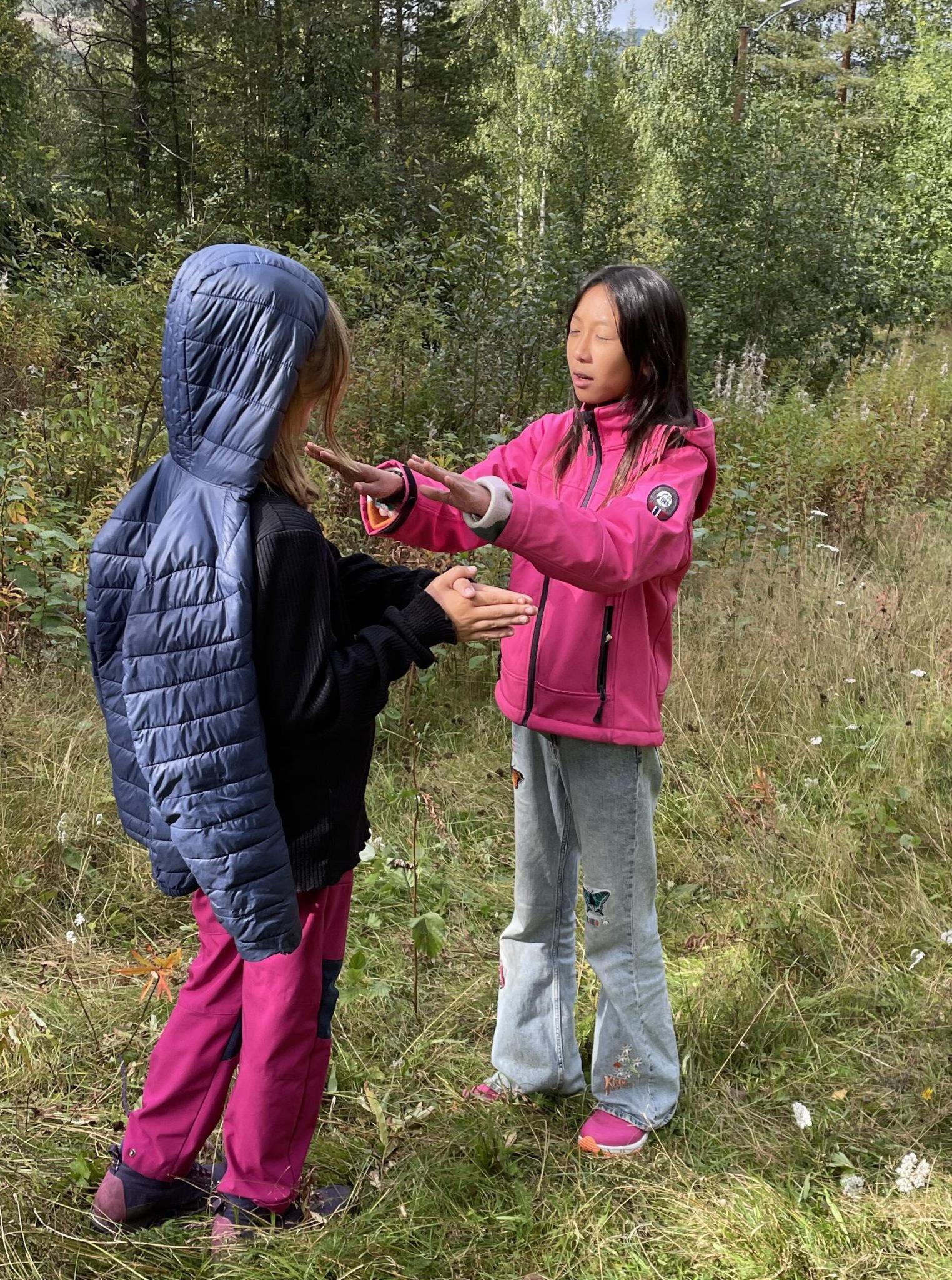 Samisk kultur og tradisjon - Hedalen.no